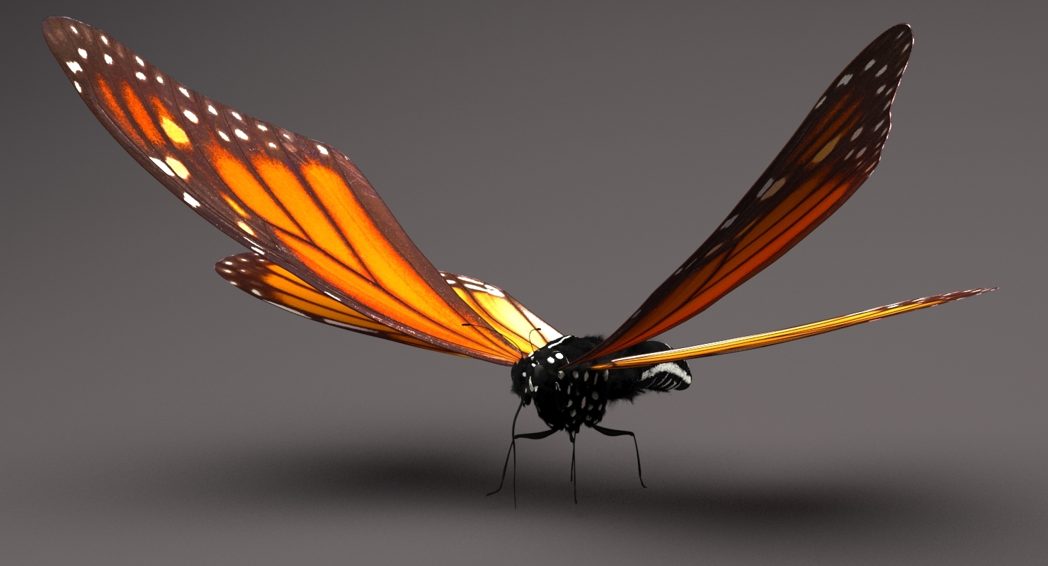 Butterfly monarch rigged 3D model - TurboSquid 1192852
