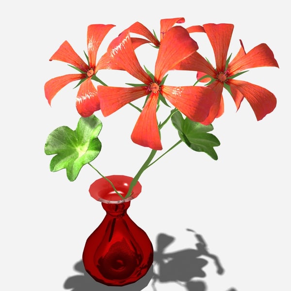 3D geranium flower model - TurboSquid 1193281