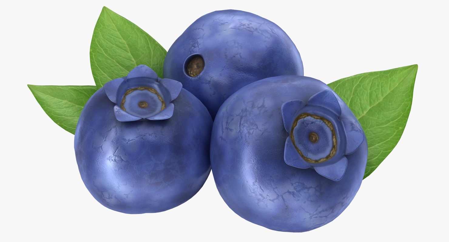 3D realistic blueberry model - TurboSquid 1193432