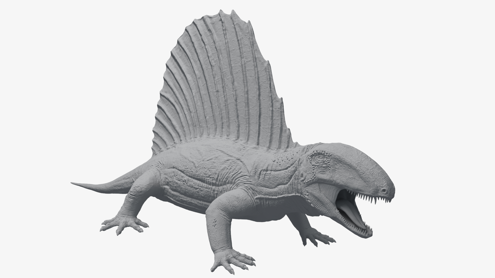 3D dimetrodon grandis - TurboSquid 1193610