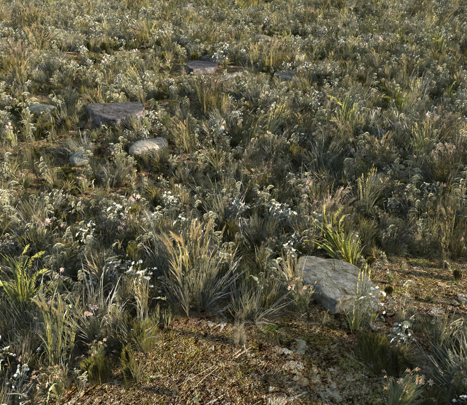 Real-time wild grass field 3D model - TurboSquid 1193869