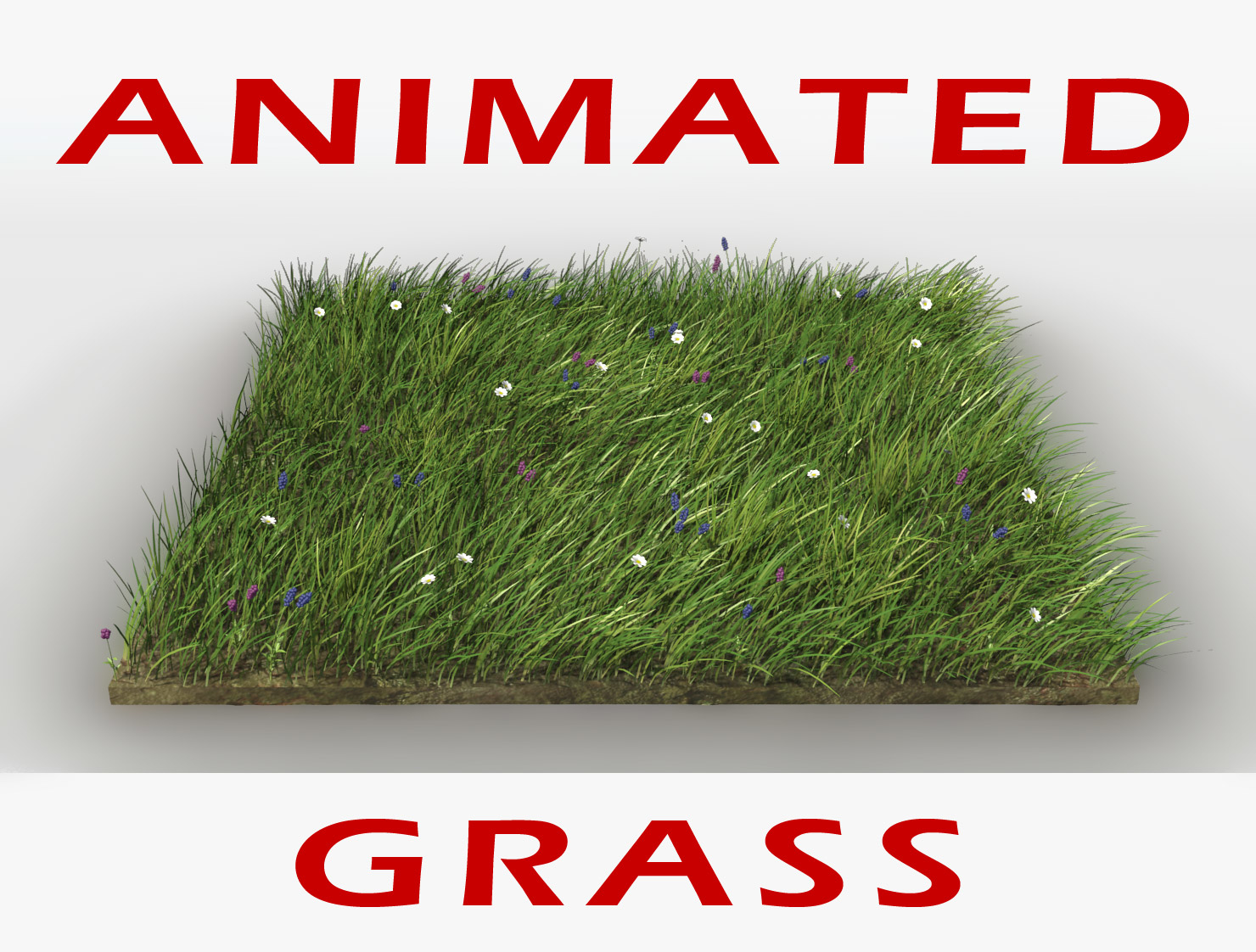 Field grass flowers animation model - TurboSquid 1193896