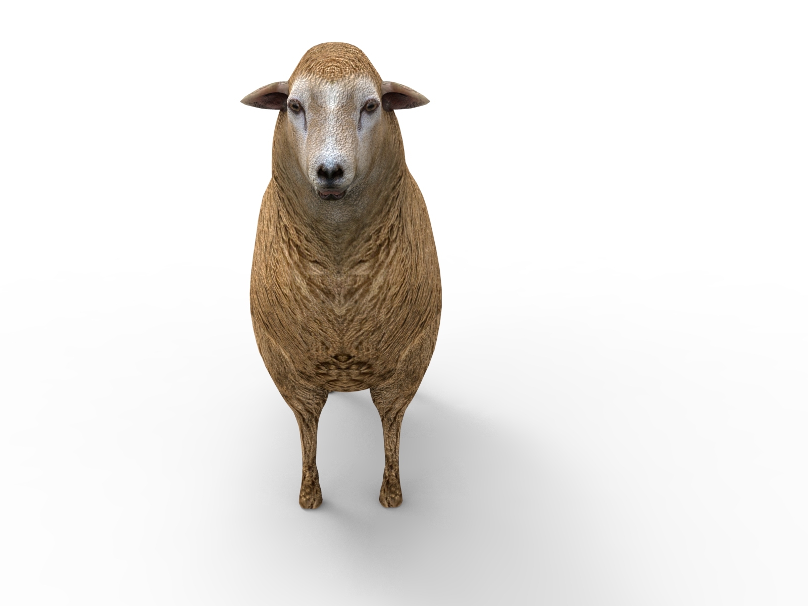 3D model sheep - TurboSquid 1194213