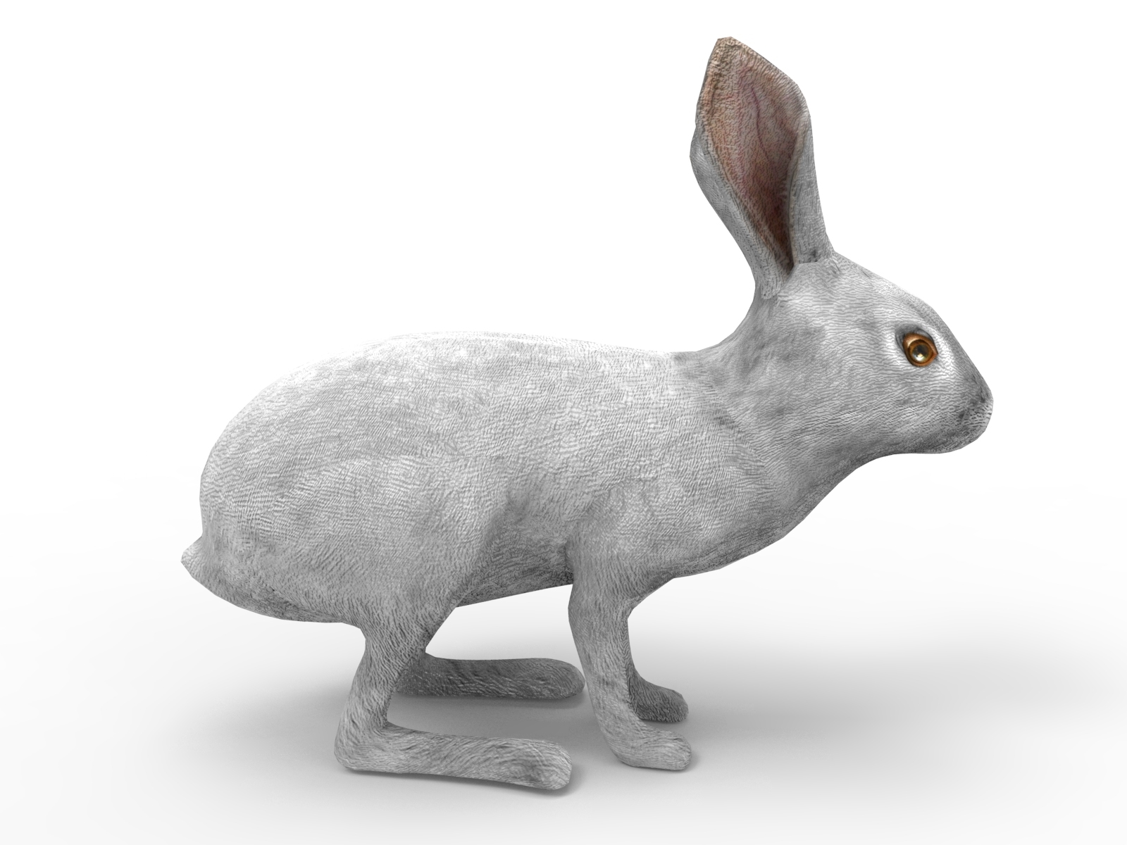 3D model rabbit - TurboSquid 1194326