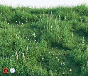 3d realistic grass
