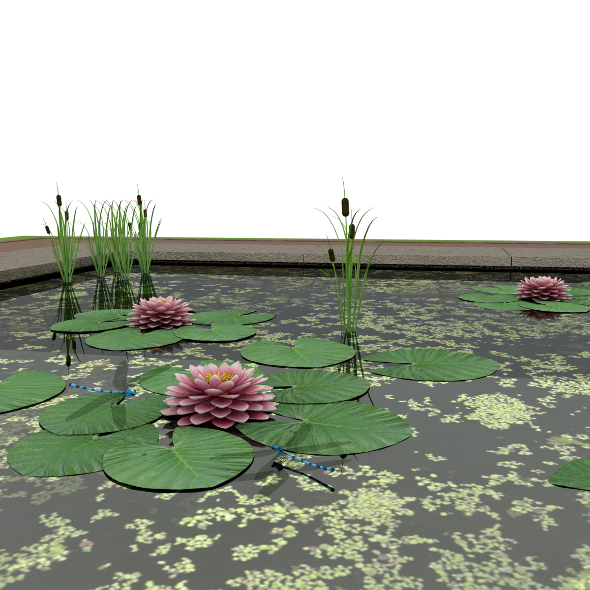 3D pond - TurboSquid 1195347