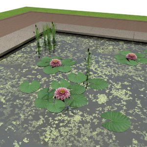 Pond 3D Models for Download | TurboSquid
