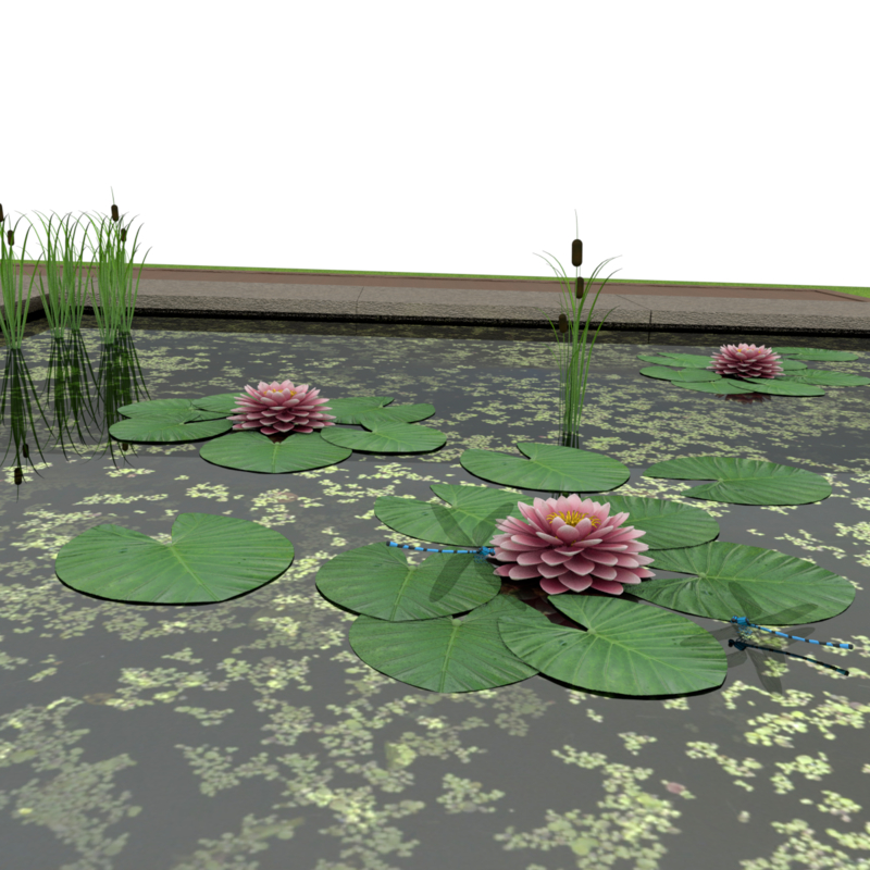 3D pond - TurboSquid 1195347