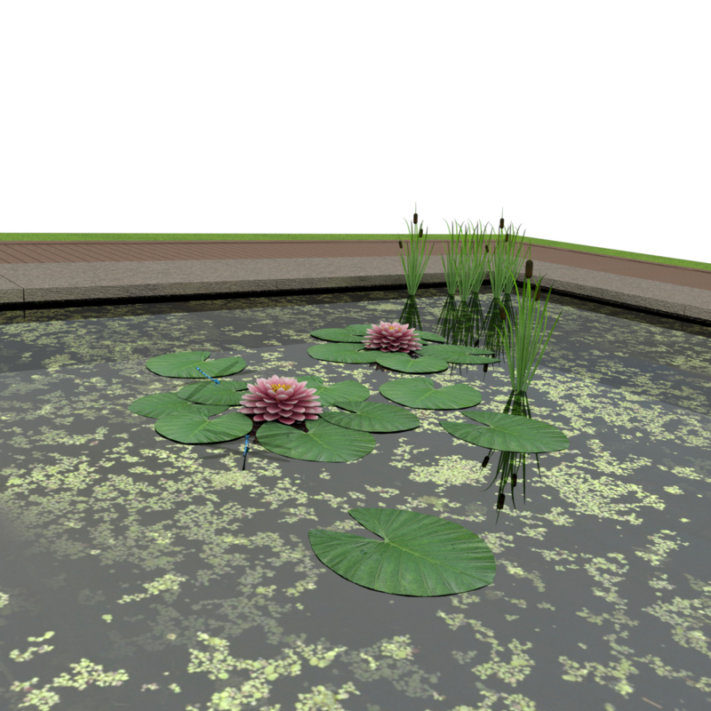3D pond - TurboSquid 1195347