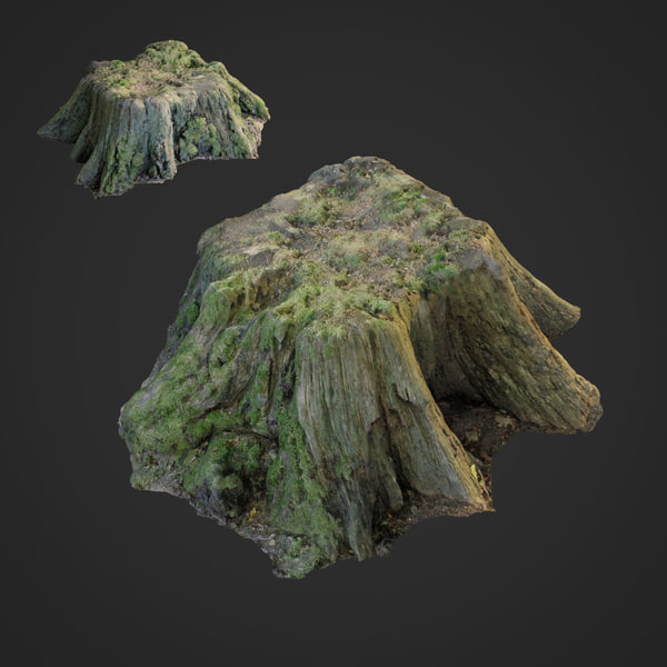 3D dead tree scan sna0003 model - TurboSquid 1400813