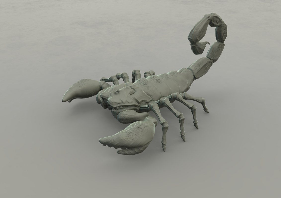 Scorpion 3D model - TurboSquid 1195519