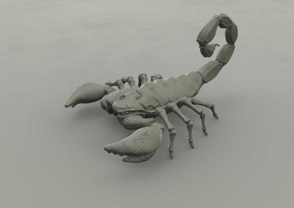 Scorpion 3D model - TurboSquid 1195519