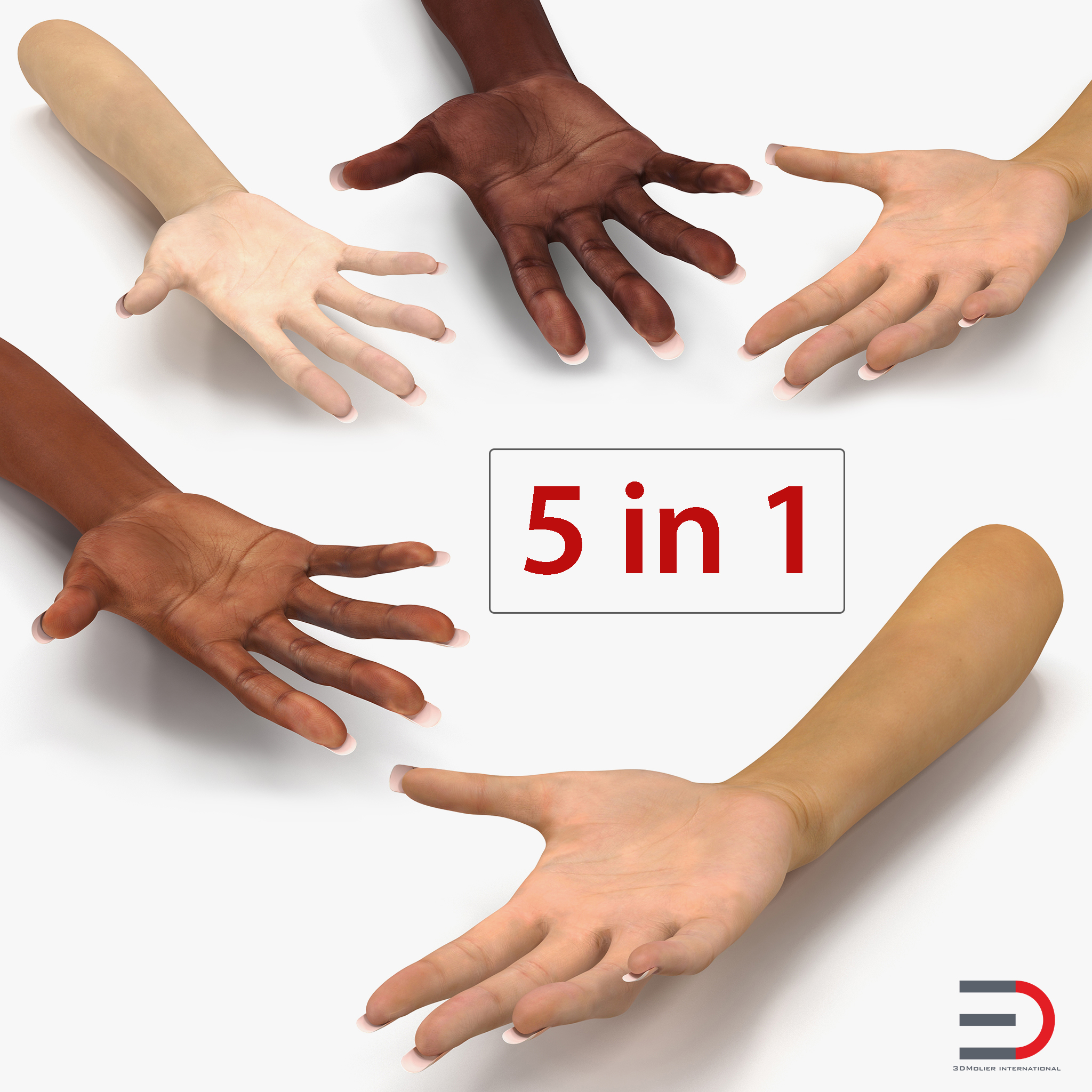 Female rigged hands 3D model - TurboSquid 1196095