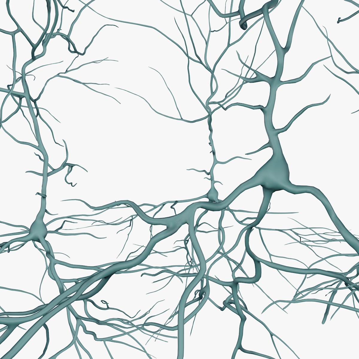 Pyramidal neurons model - TurboSquid 1196142