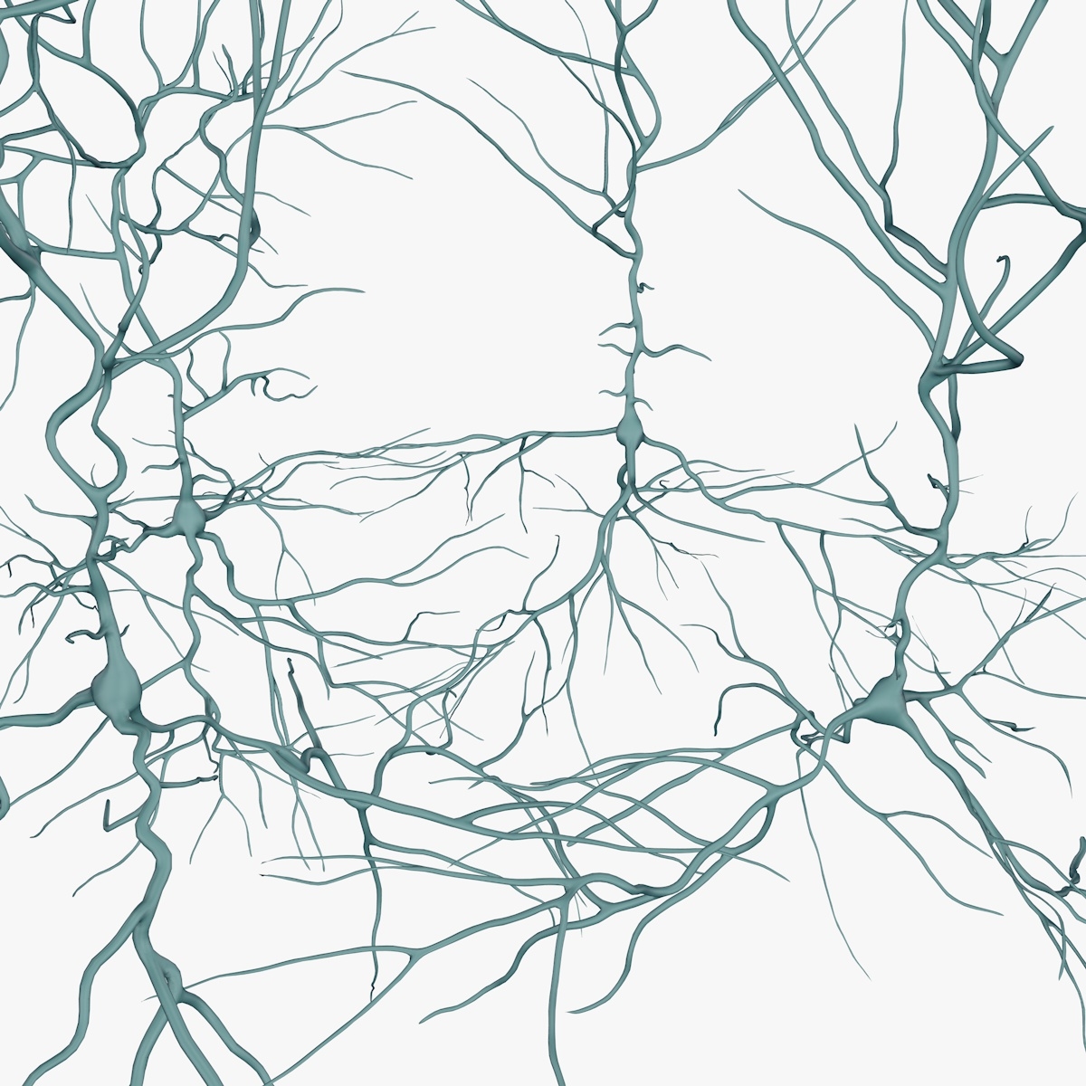Pyramidal neurons model - TurboSquid 1196142