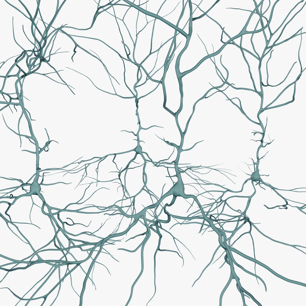 Pyramidal neurons model - TurboSquid 1196142
