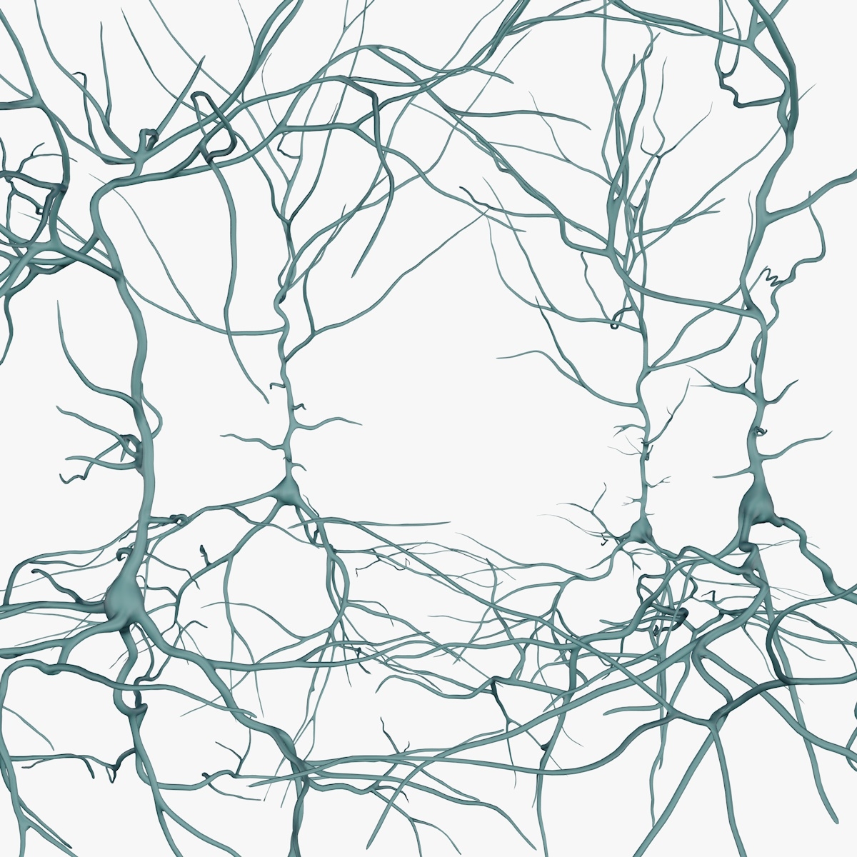 Pyramidal neurons model - TurboSquid 1196142