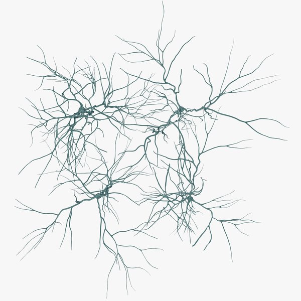 Pyramidal neurons model - TurboSquid 1196142