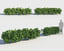 3D exotic shrubs hedges - TurboSquid 1196177