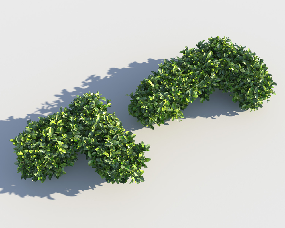 3D exotic shrubs hedges - TurboSquid 1196177