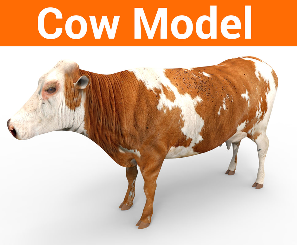 Cow cattle 3D model - TurboSquid 1196189