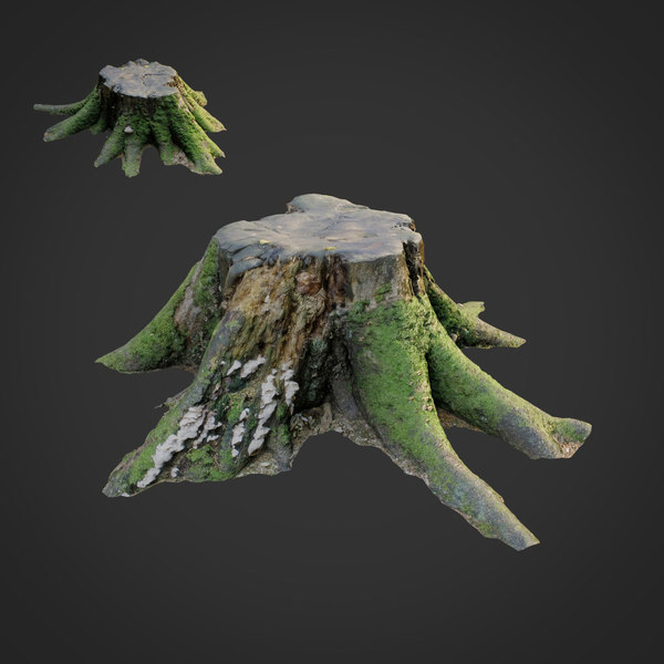 3D dead tree scan sna0003 model - TurboSquid 1400813