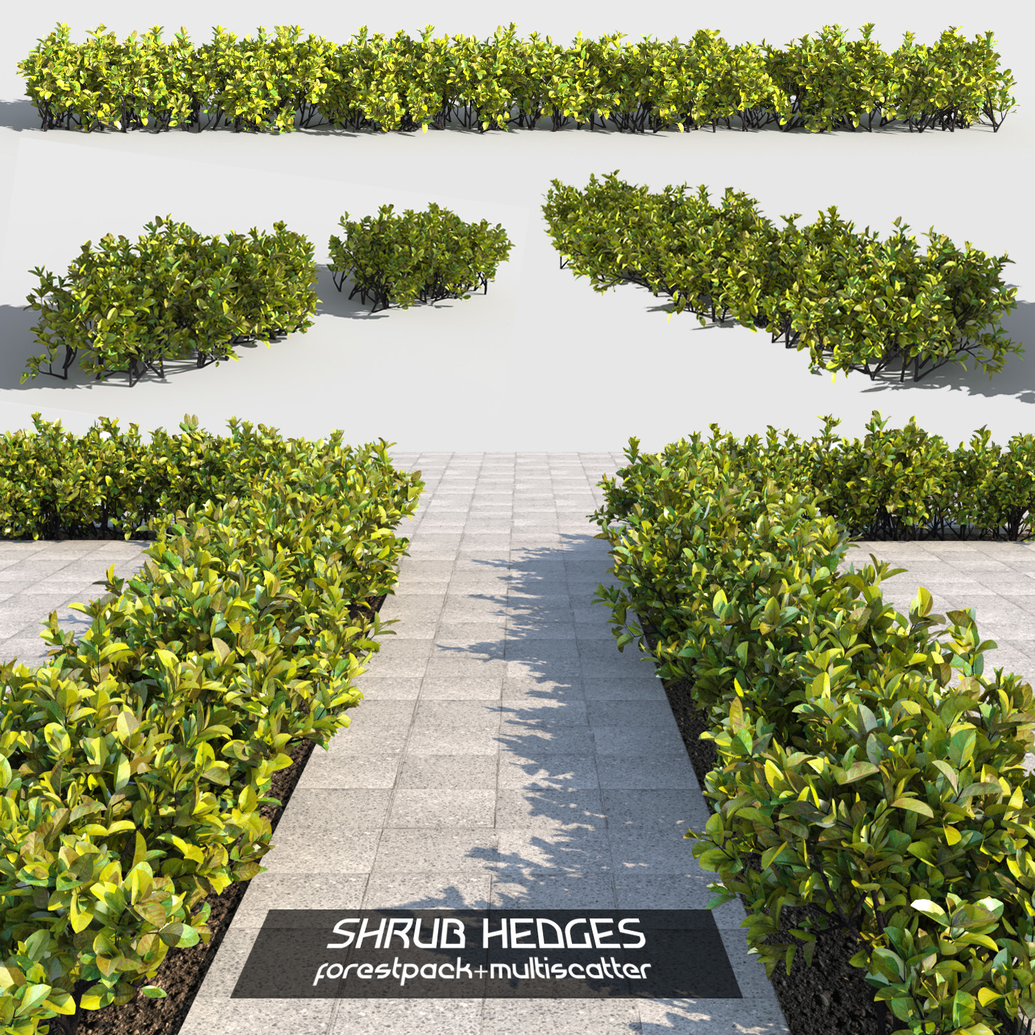 3D shrubs hedges multiscatter 2 - TurboSquid 1196252