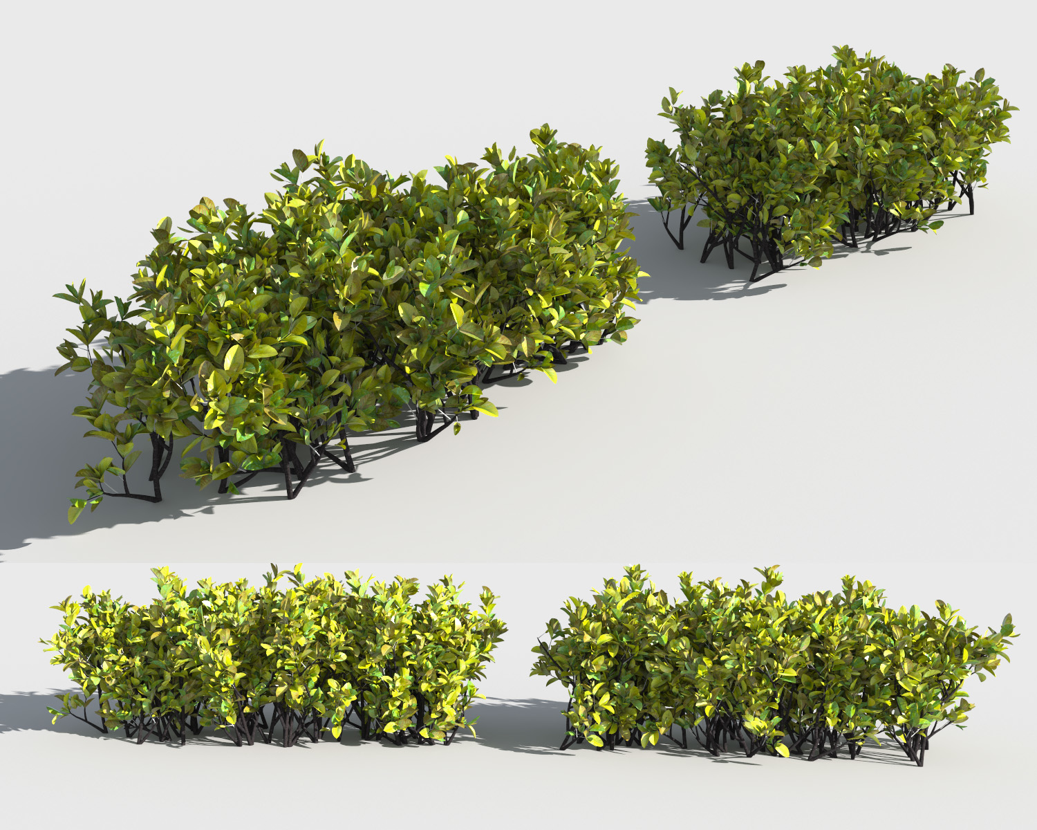 3D shrubs hedges multiscatter 2 - TurboSquid 1196252