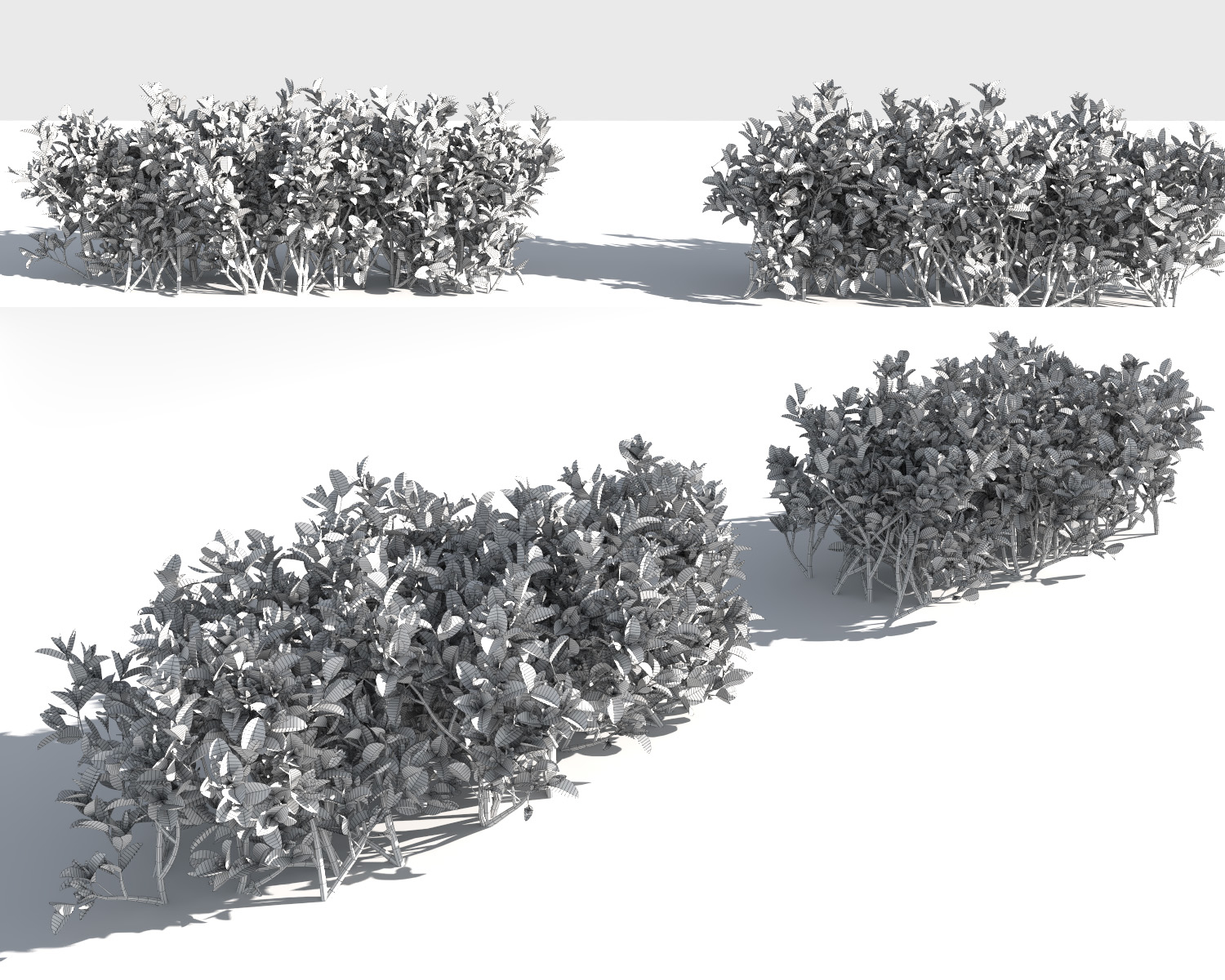 3D shrubs hedges multiscatter 2 - TurboSquid 1196252