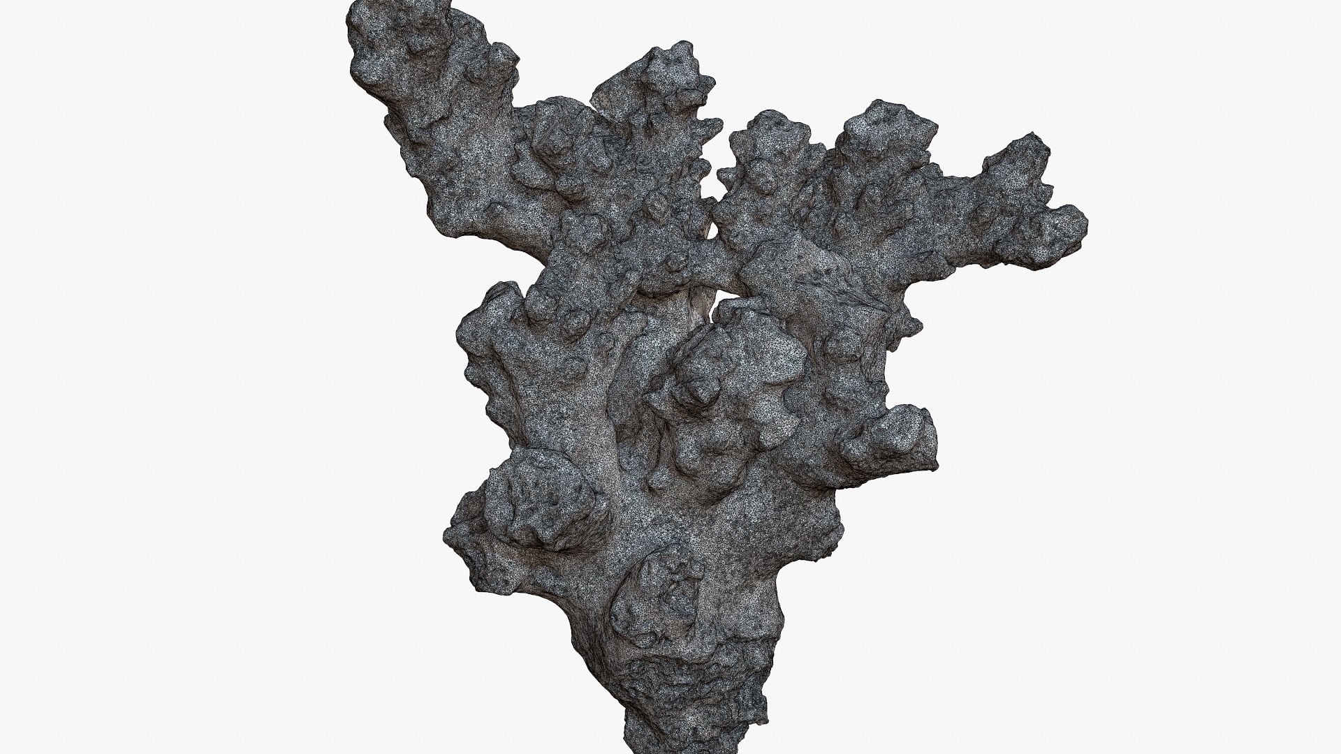 3D coral 14 raw scan model - TurboSquid 1196404
