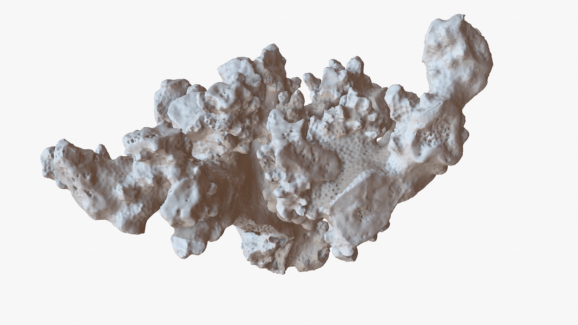 3D coral 14 raw scan model - TurboSquid 1196404