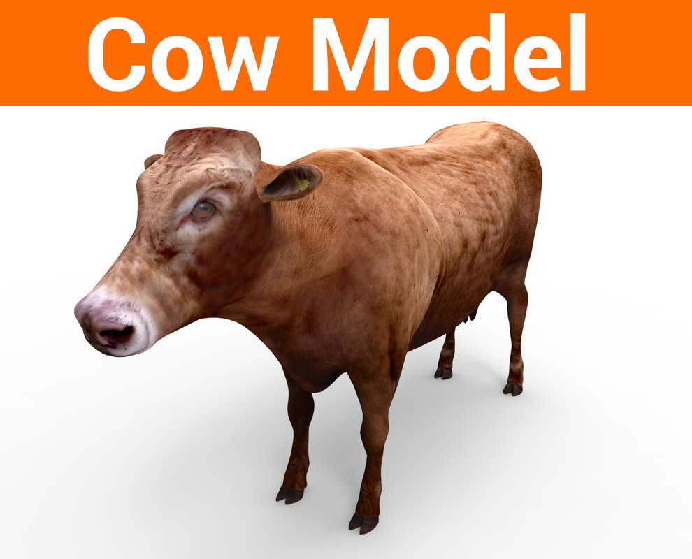 3D cow cattle - TurboSquid 1196485