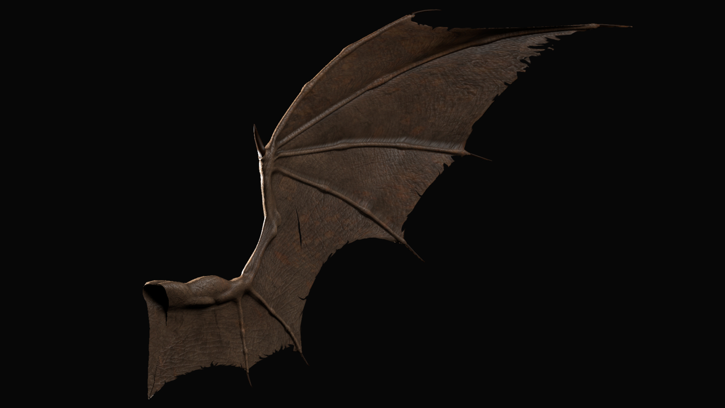 Bat wings 3D - TurboSquid 1196635