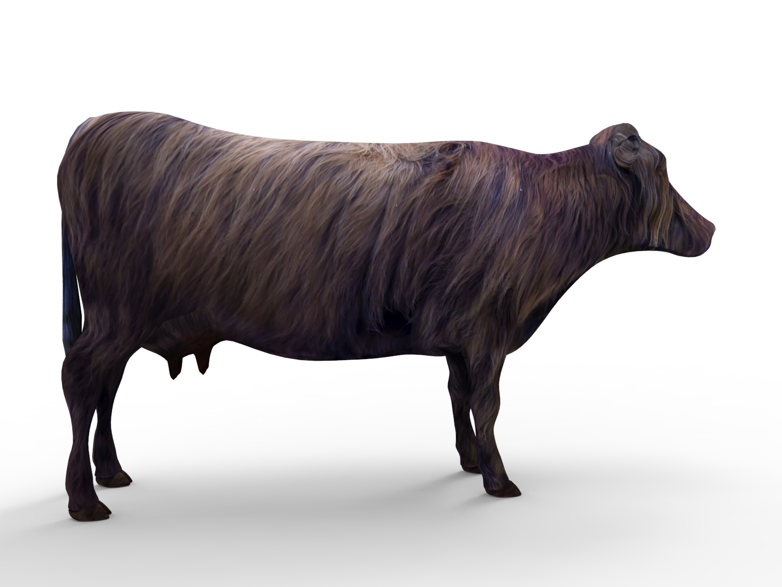 modèle 3D de Modèle de vache - TurboSquid 1196814