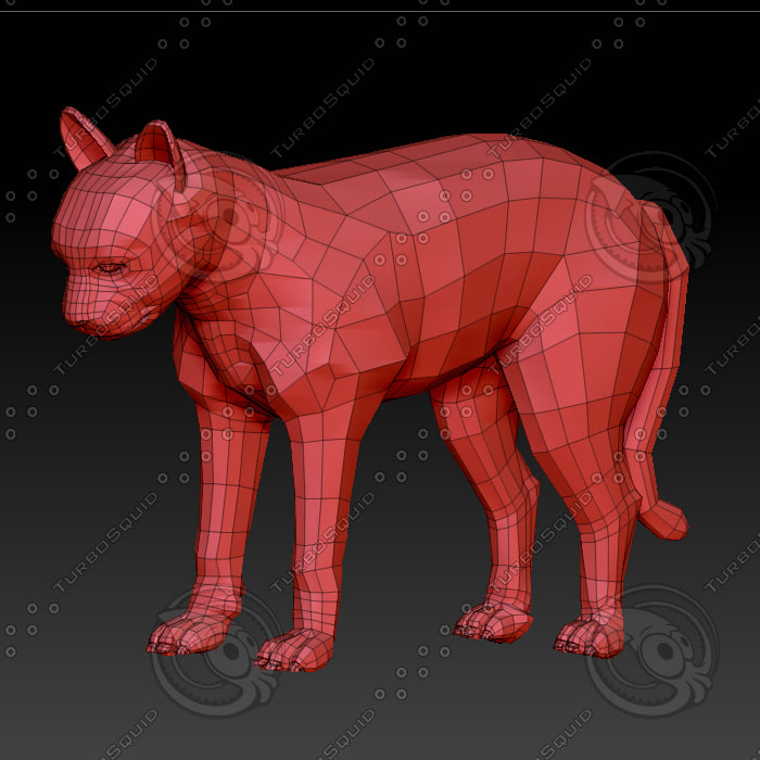 3D cat model - TurboSquid 1197440