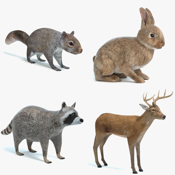 3d rabbit