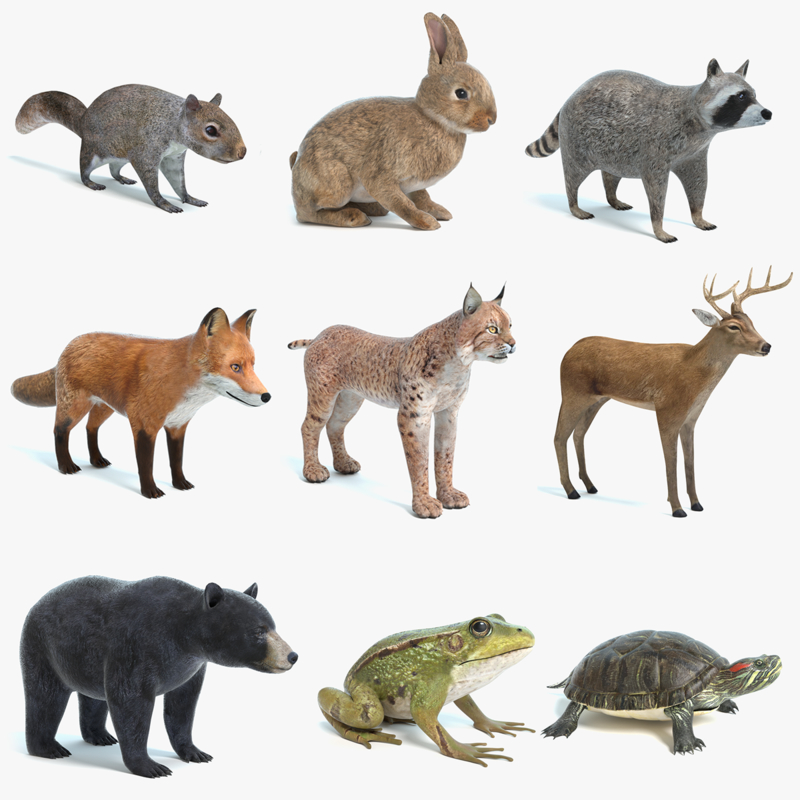 3D animals 4 - TurboSquid 1197530
