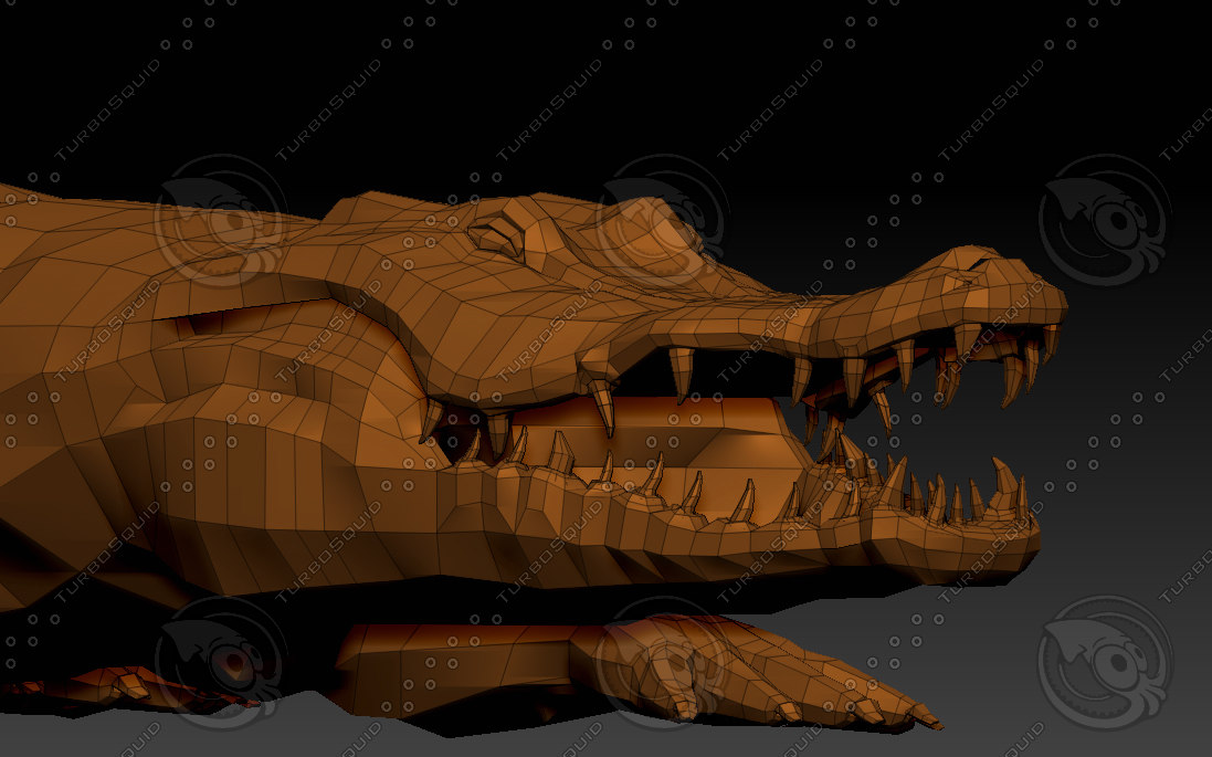 3D model alligator animation - TurboSquid 1197602