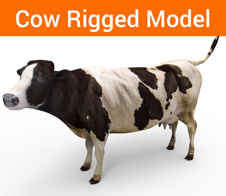 Cow rigged 3D model - TurboSquid 1197669