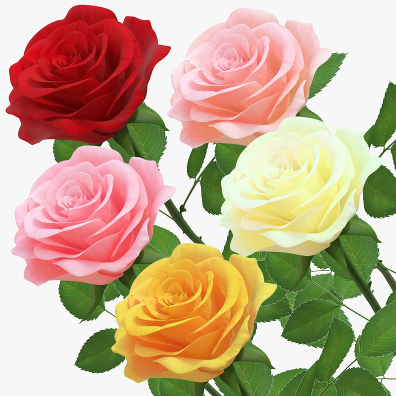 3D rose model - TurboSquid 1198220