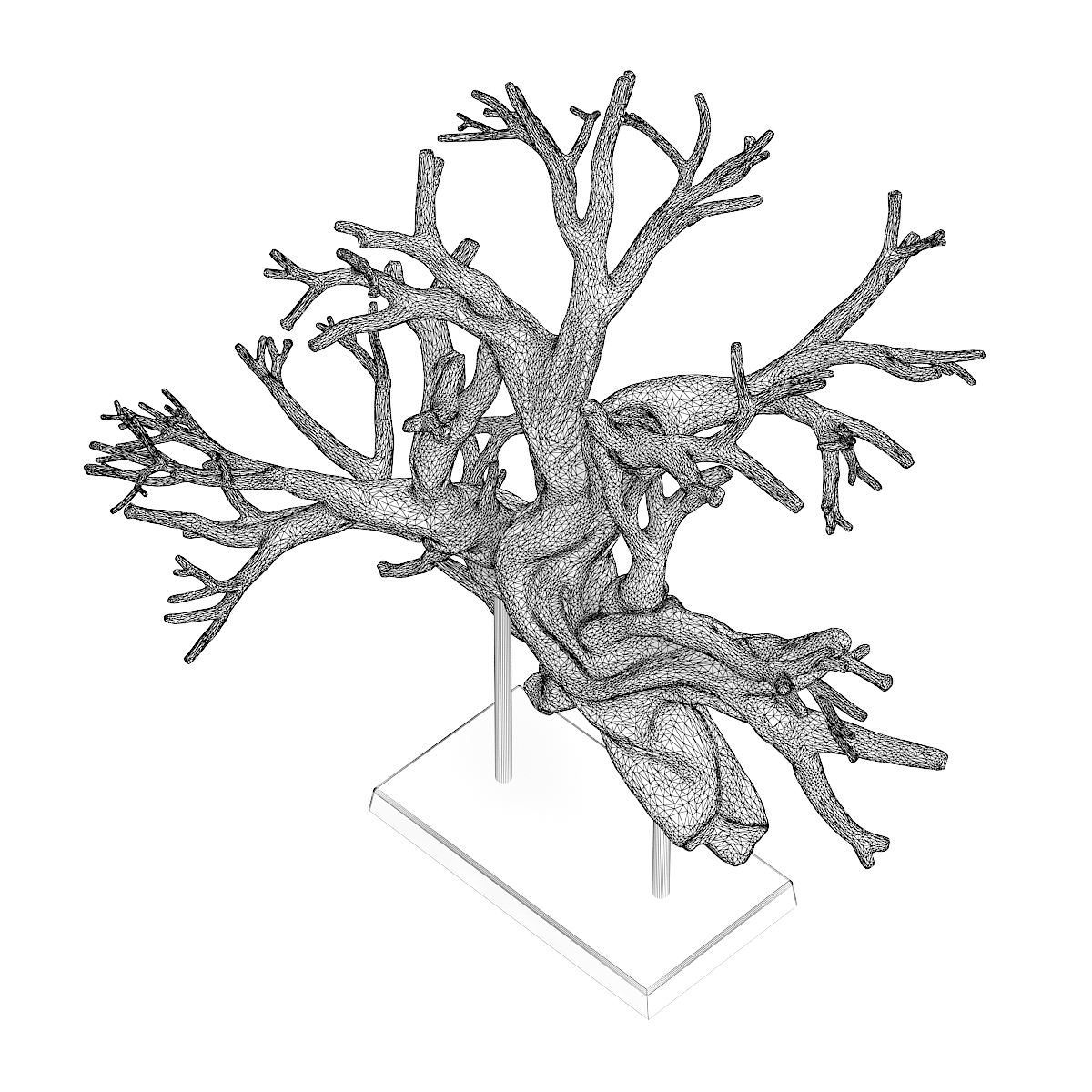 Large tree root decoration 3D model - TurboSquid 1198376