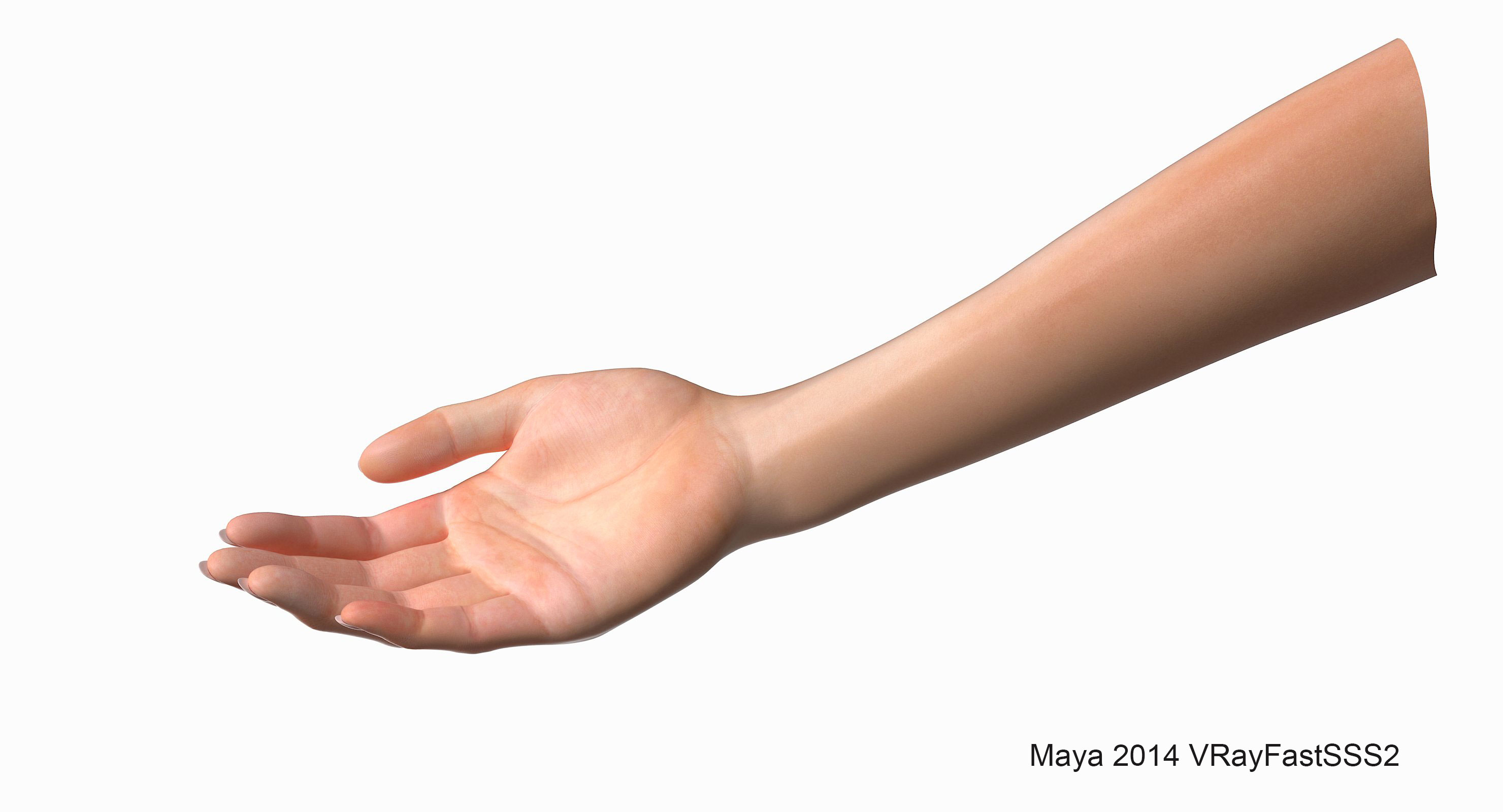 Female arm pose b model - TurboSquid 1198681