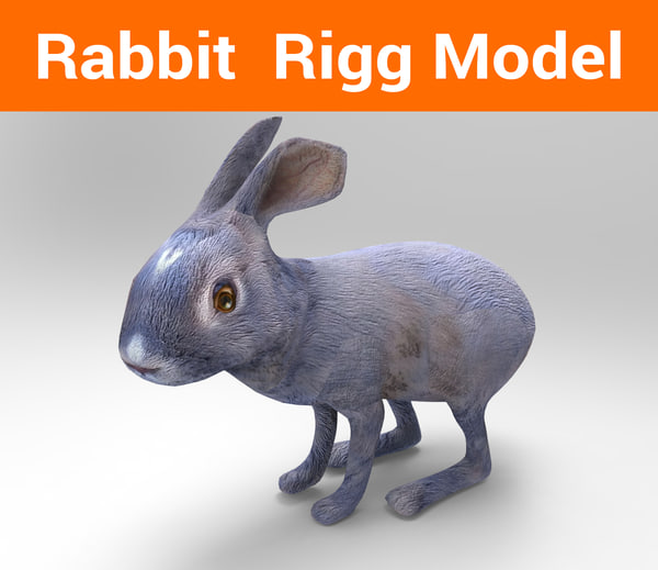 Rabbit Maya Models for Download | TurboSquid