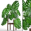 3D monstera model - TurboSquid 1199026
