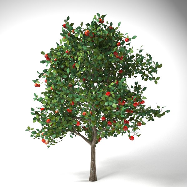 3D apple tree 3 7 model - TurboSquid 1199232