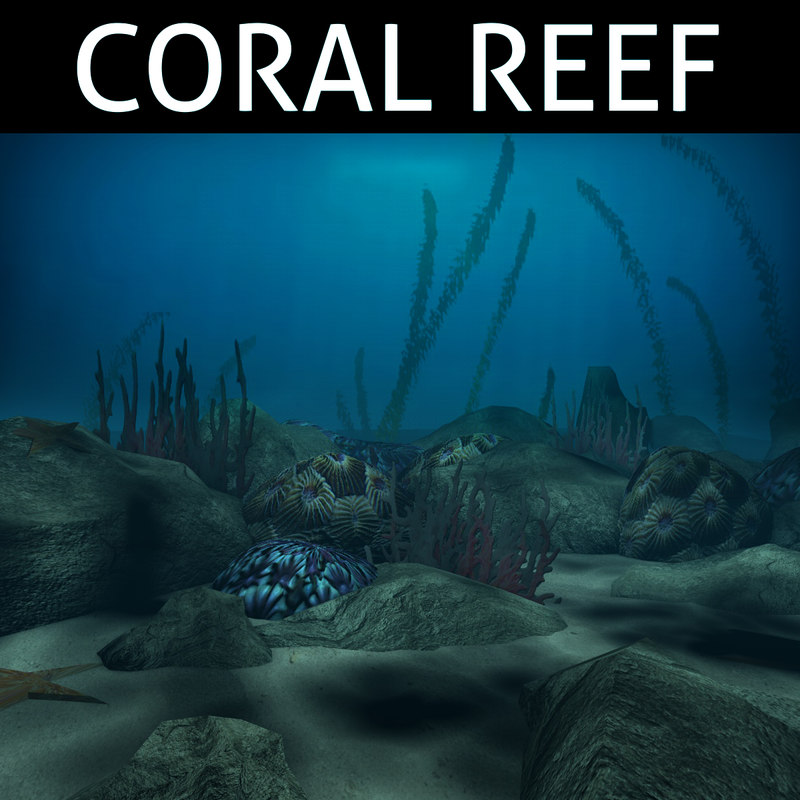 Coral reef model - TurboSquid 1199269