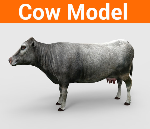 3ds Max Cattle Models | TurboSquid