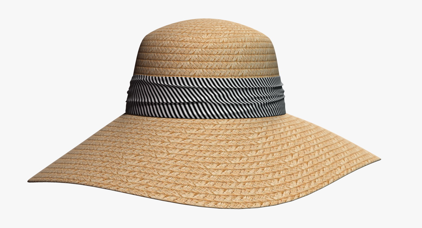 Hat 1 3D model - TurboSquid 1200873