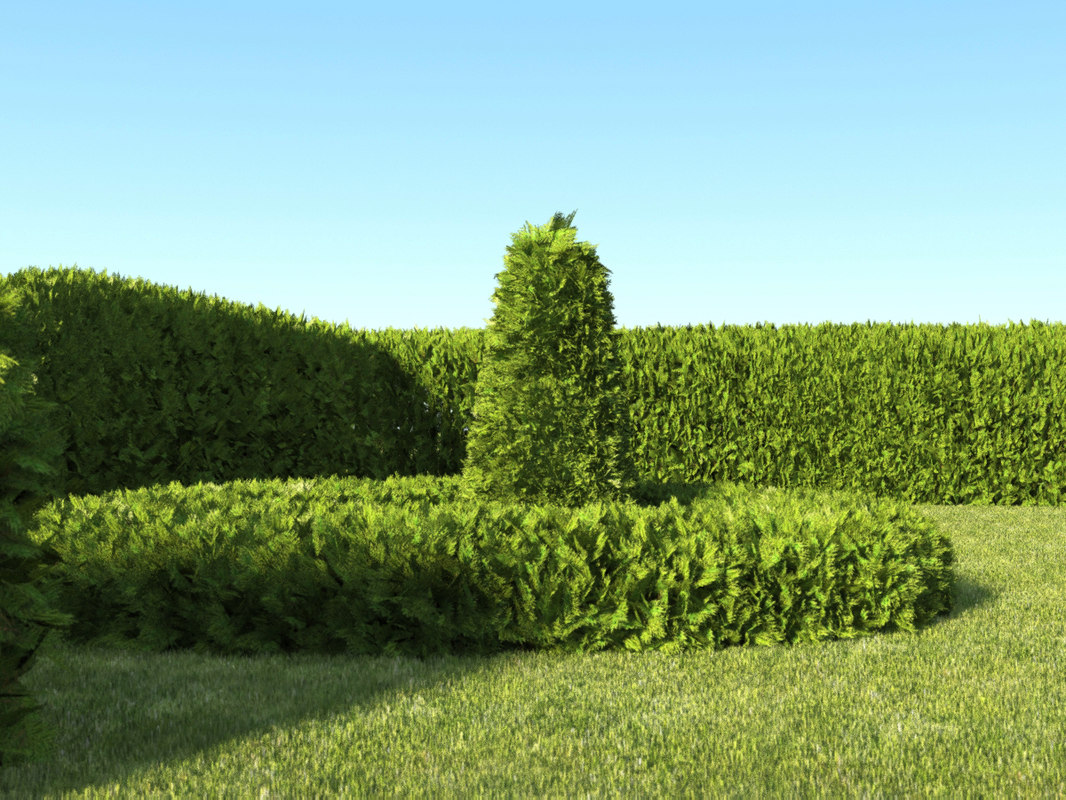 Dynamic hedge 3D model - TurboSquid 1201262
