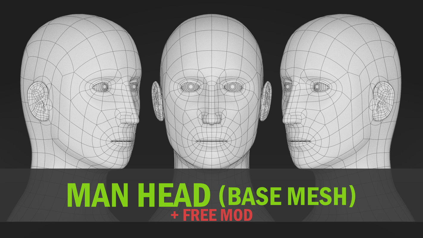 Head base mesh model - TurboSquid 1201463